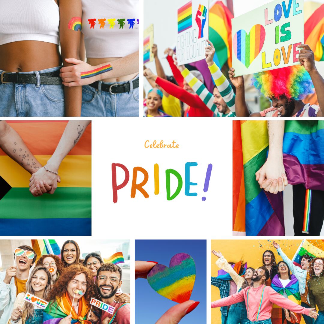 T-Shirt: Pride Cool Koala - Cool Koala Australia